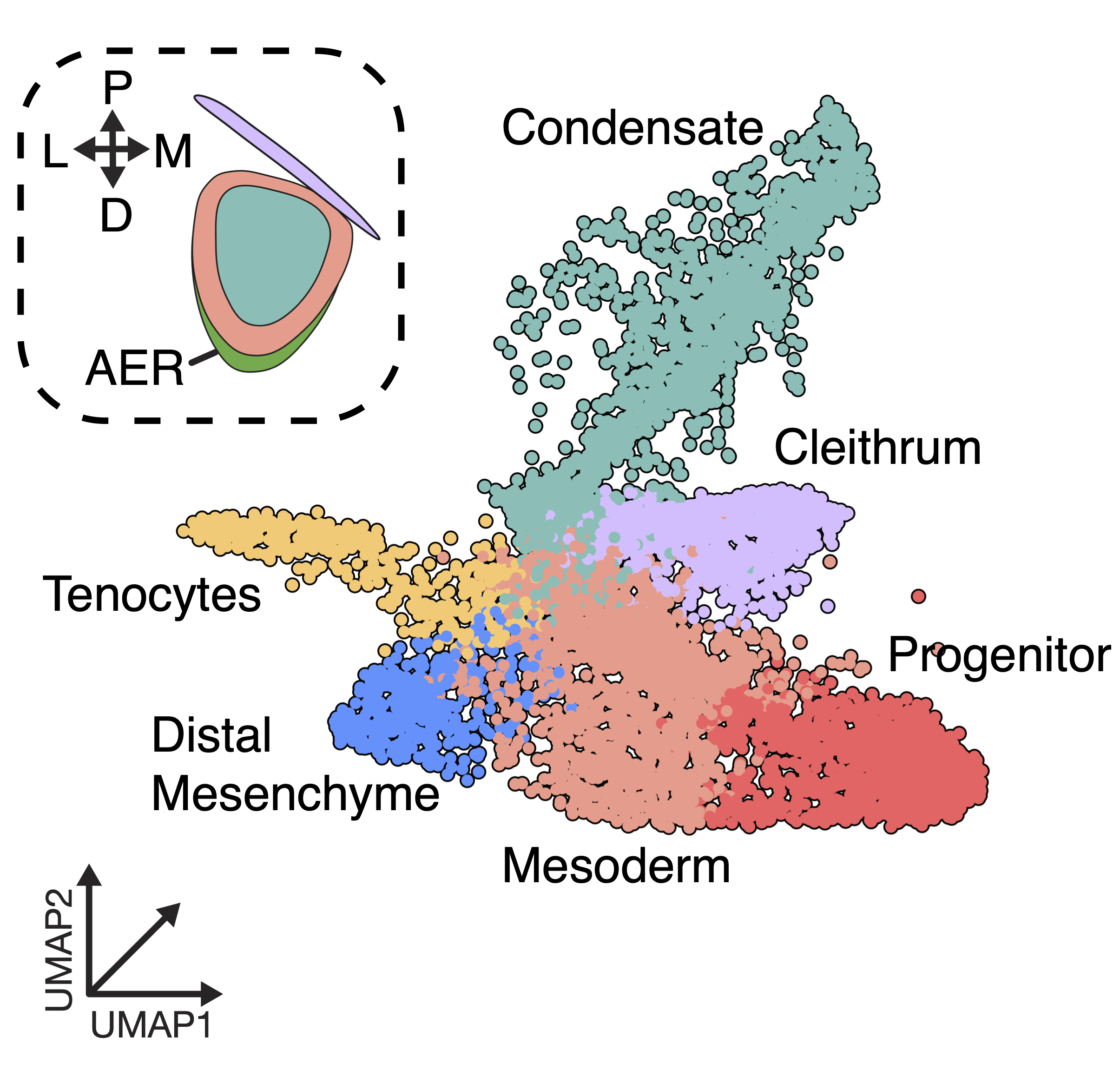 Downloads - CHEMFISH